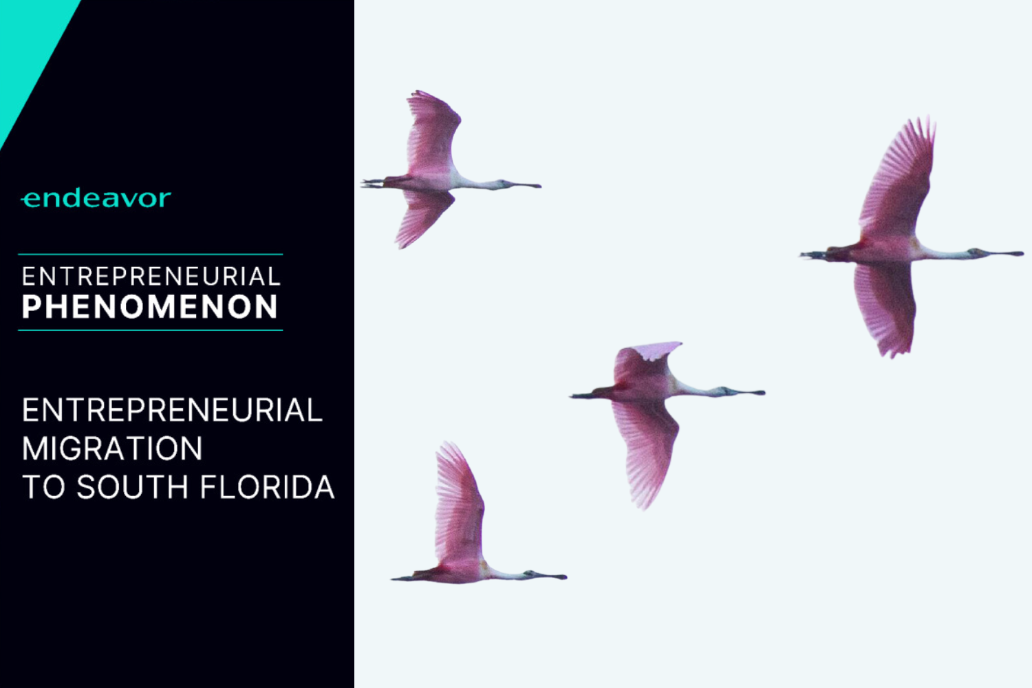 Entrepreneurial Migration to South Florida - Endeavor Miami